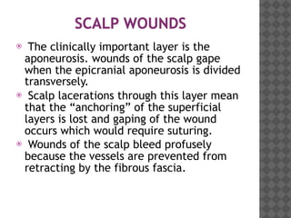 anatomy of Scalp full detail | PDF