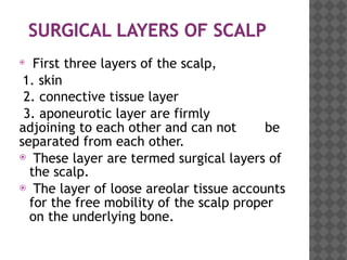 anatomy of Scalp full detail | PDF