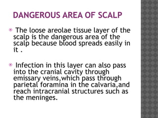 anatomy of Scalp full detail | PDF