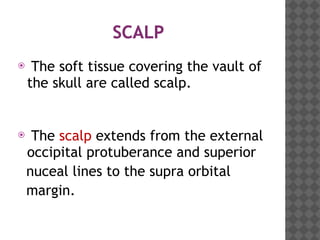 anatomy of Scalp full detail | PDF