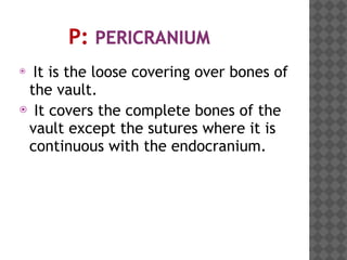 anatomy of Scalp full detail | PDF