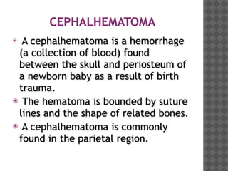 anatomy of Scalp full detail | PDF