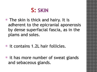 anatomy of Scalp full detail | PDF