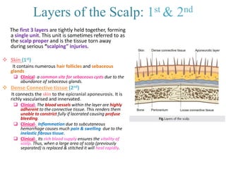 Anatomy of the Scalp | PPTX