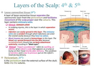 Anatomy of the Scalp | PPTX