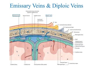 Emissary Veins