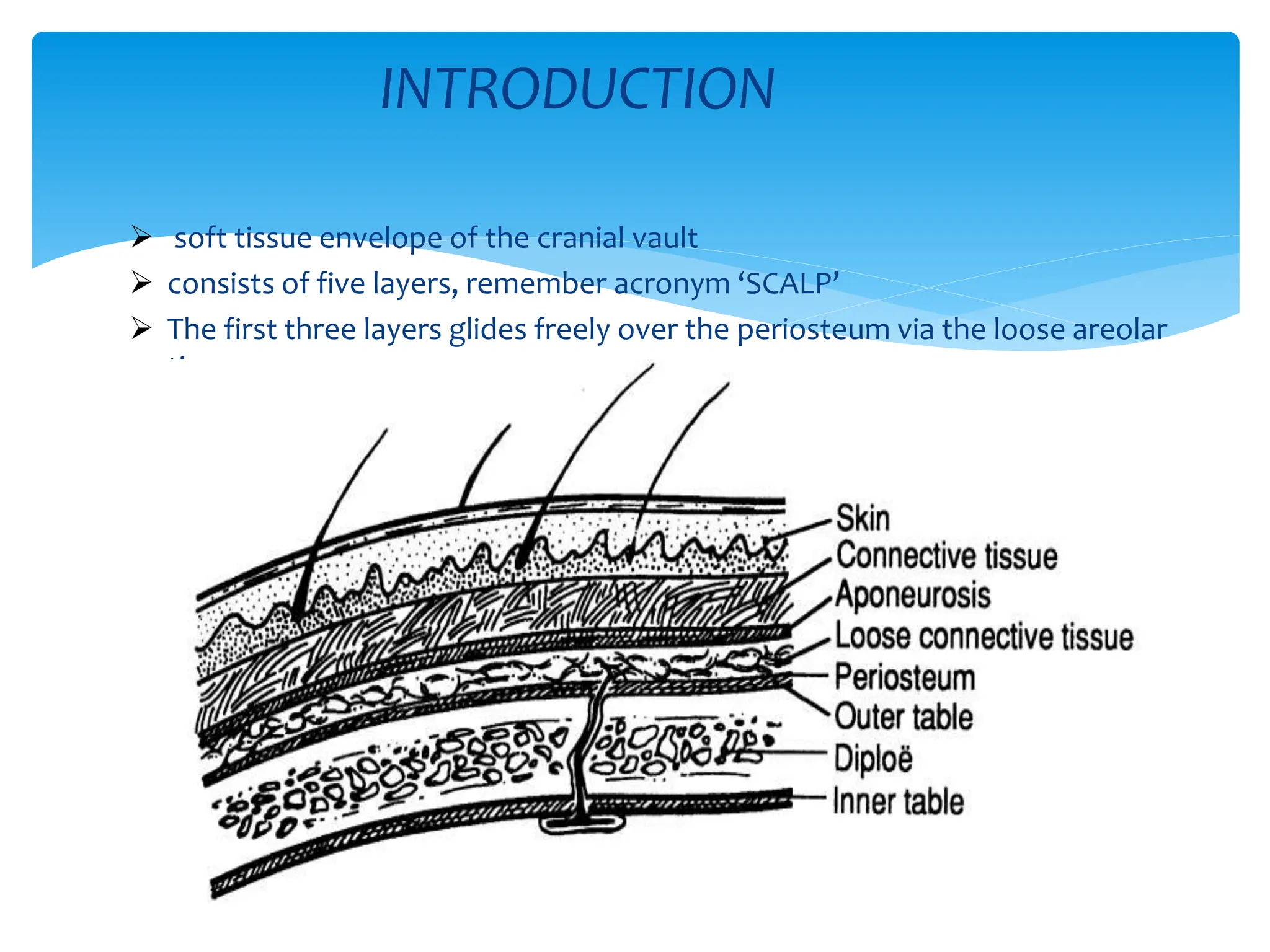 Scalp the anatomy and its applied aspects.pptx