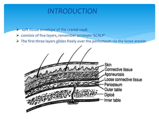 Scalp the anatomy and its applied aspects.pptx