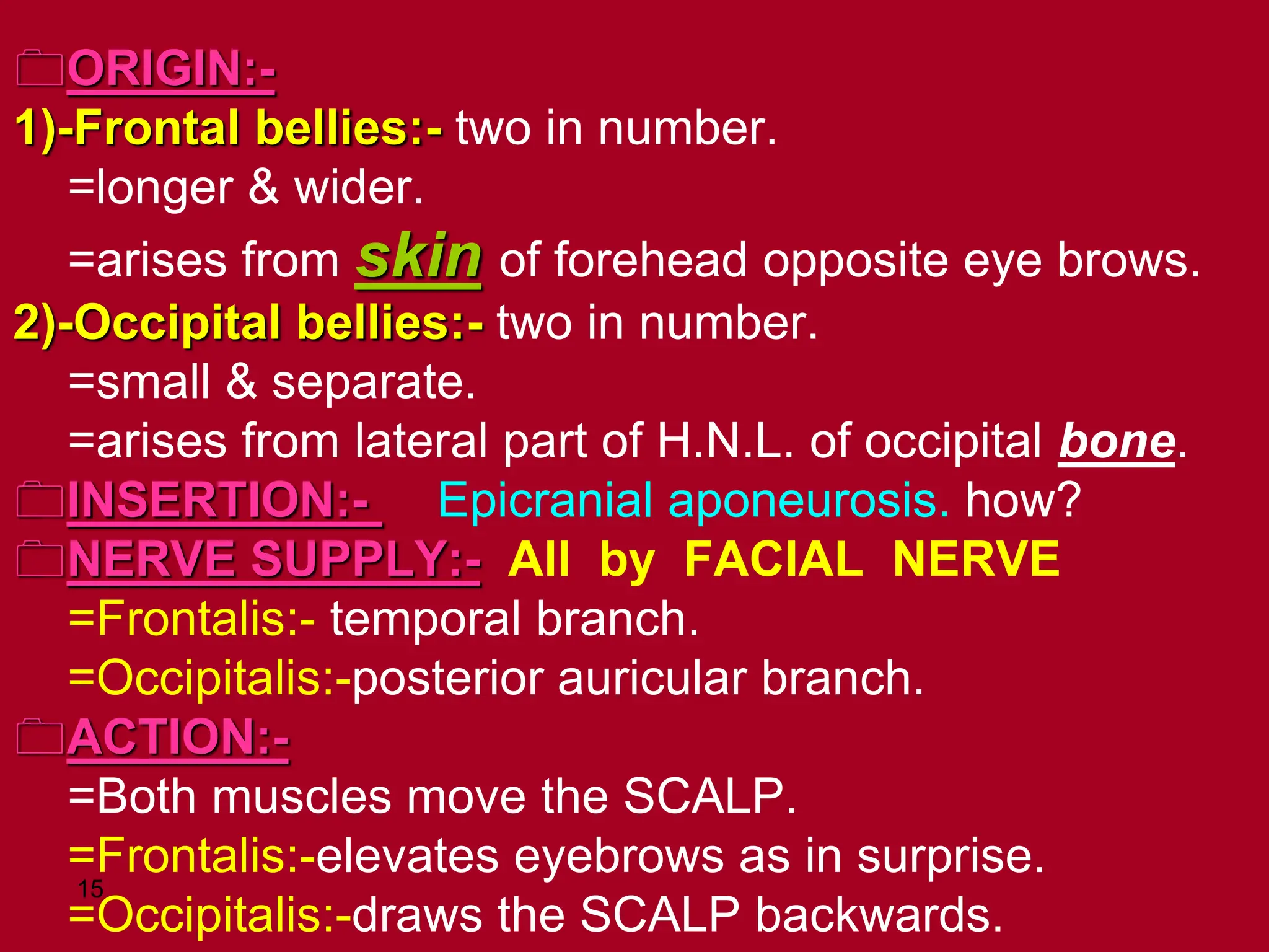 Anatomy of SCALP and its blood and nerve supply.ppt