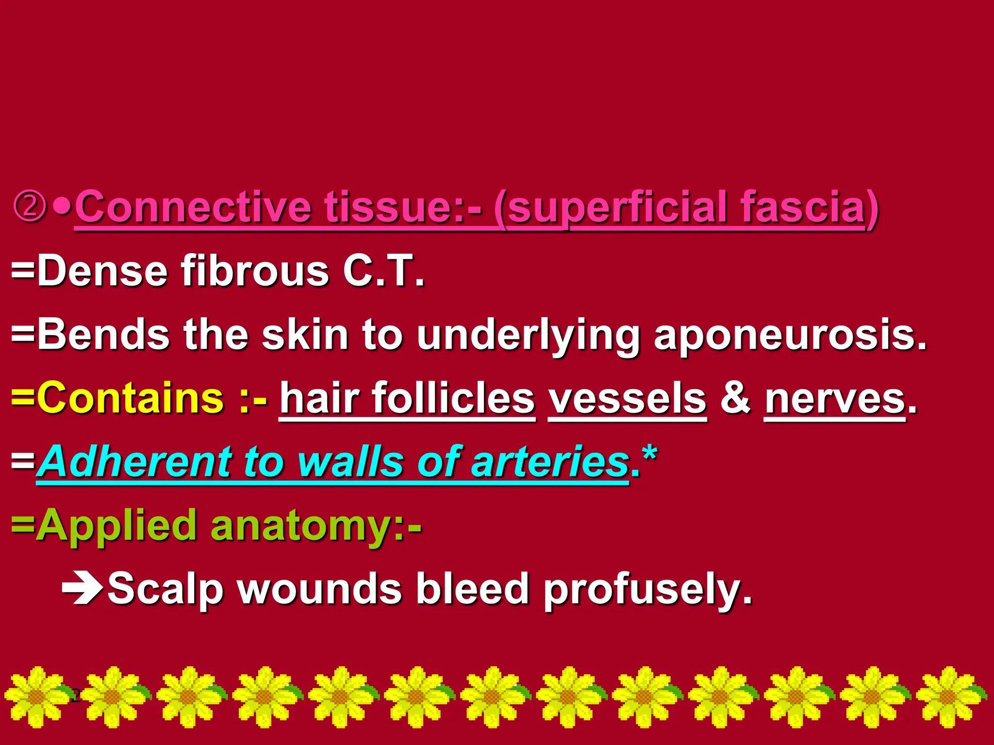 Anatomy of SCALP and its blood and nerve supply.ppt
