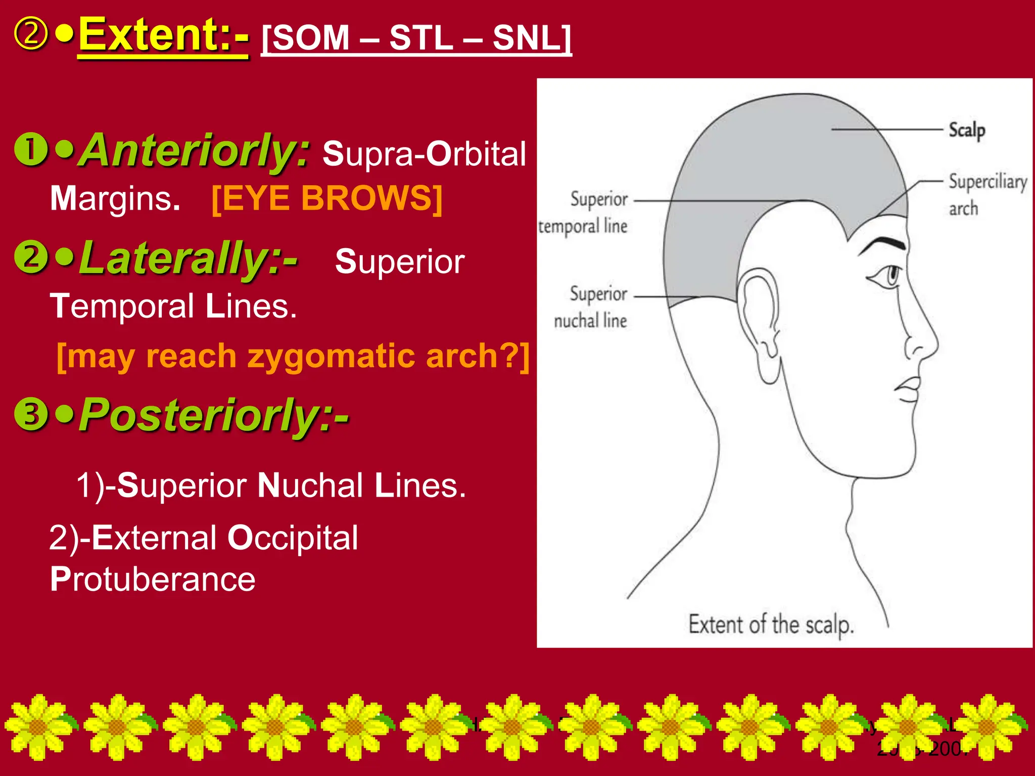 Anatomy of SCALP and its blood and nerve supply.ppt
