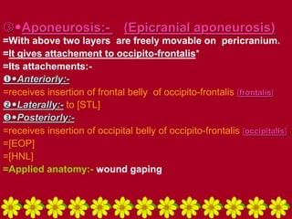 Anatomy of SCALP and its blood and nerve supply.ppt