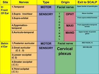 Anatomy of SCALP and its blood and nerve supply.ppt