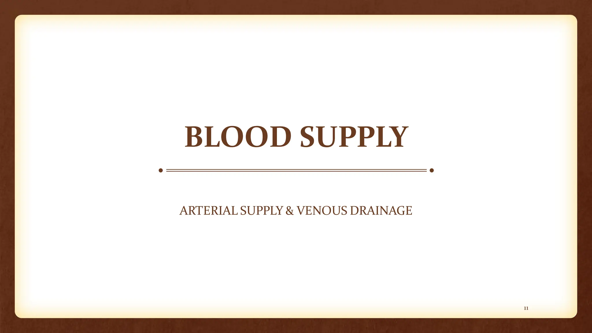 Scalp Pdf All The Information Layers Of Scalp Ppt