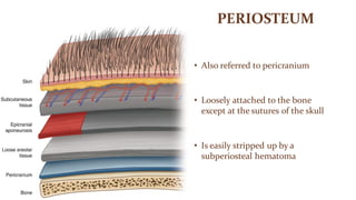 Scalp.pdf all the information...layers of scalp | PPT