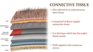 Scalp.pdf all the information...layers of scalp | PDF