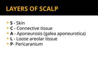 SCALP ITS LAYERS, BLOOD AND NERVE SUPPLY.pptx