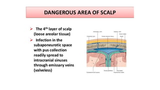 Scalp anatomy for medical students .pptx