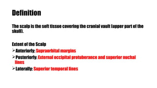 Comprehensive Overview of Scalp Anatomy and Vascular Supply | PPTX