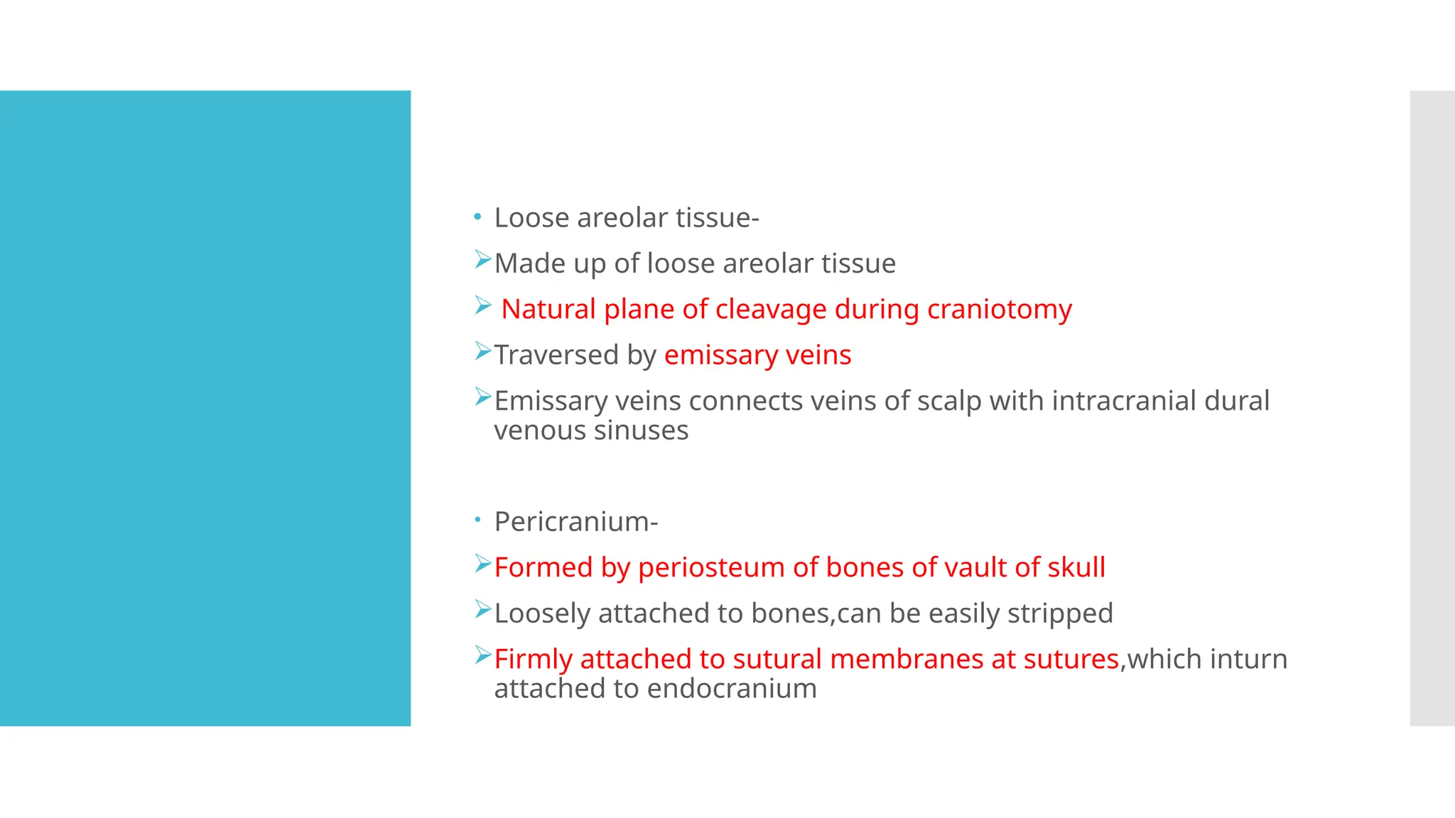 scalp anatomy -layers and applied aspects | PPTX