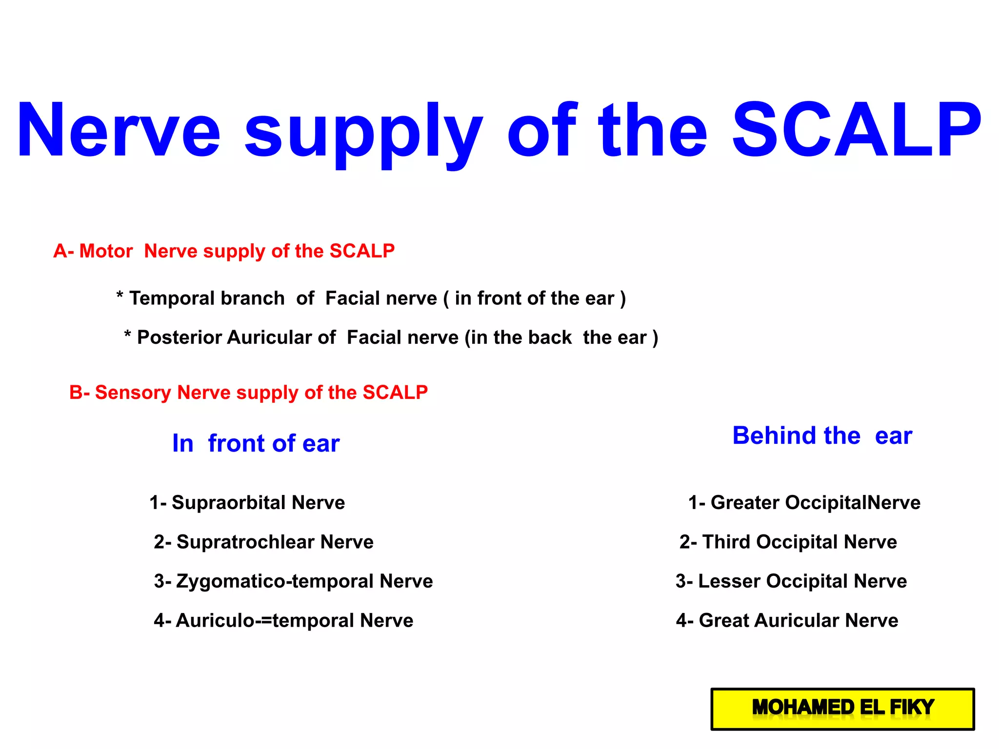 Anatomy of scalp | PDF