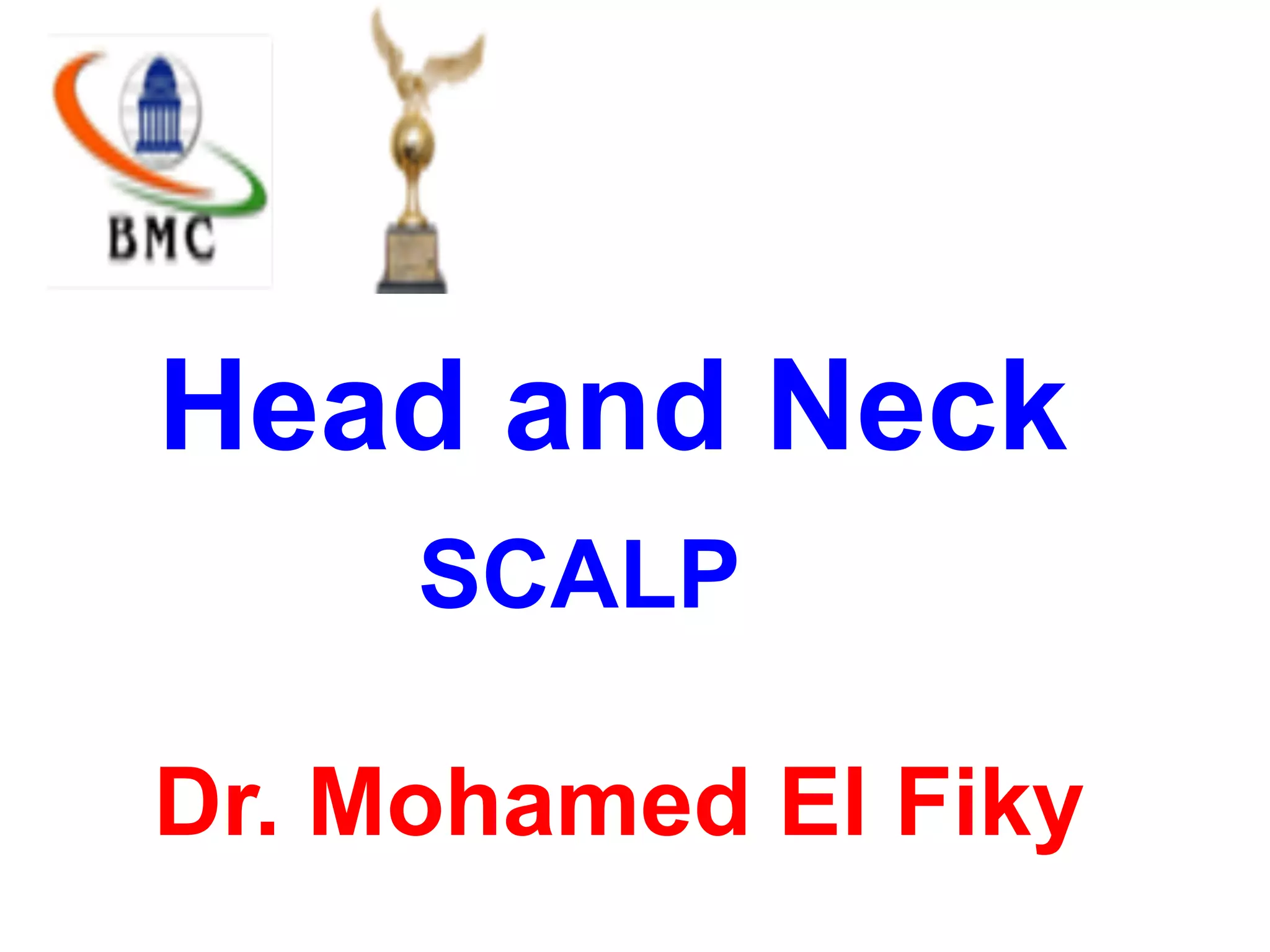 Anatomy of scalp | PPT