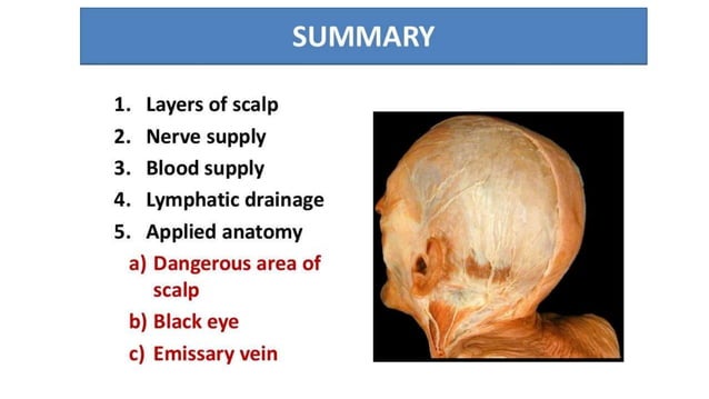 Scalp Anatomy - Dr. Rahul Singh Thakur | PPT
