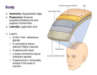 scalp_1.pdf