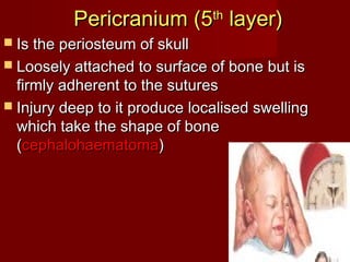 Scalp (2) | PPT