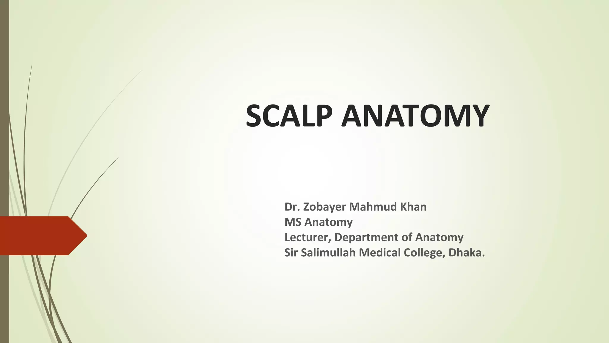 Scalp Anatomy by Dr Zobayer Mahmud Khan | PPT