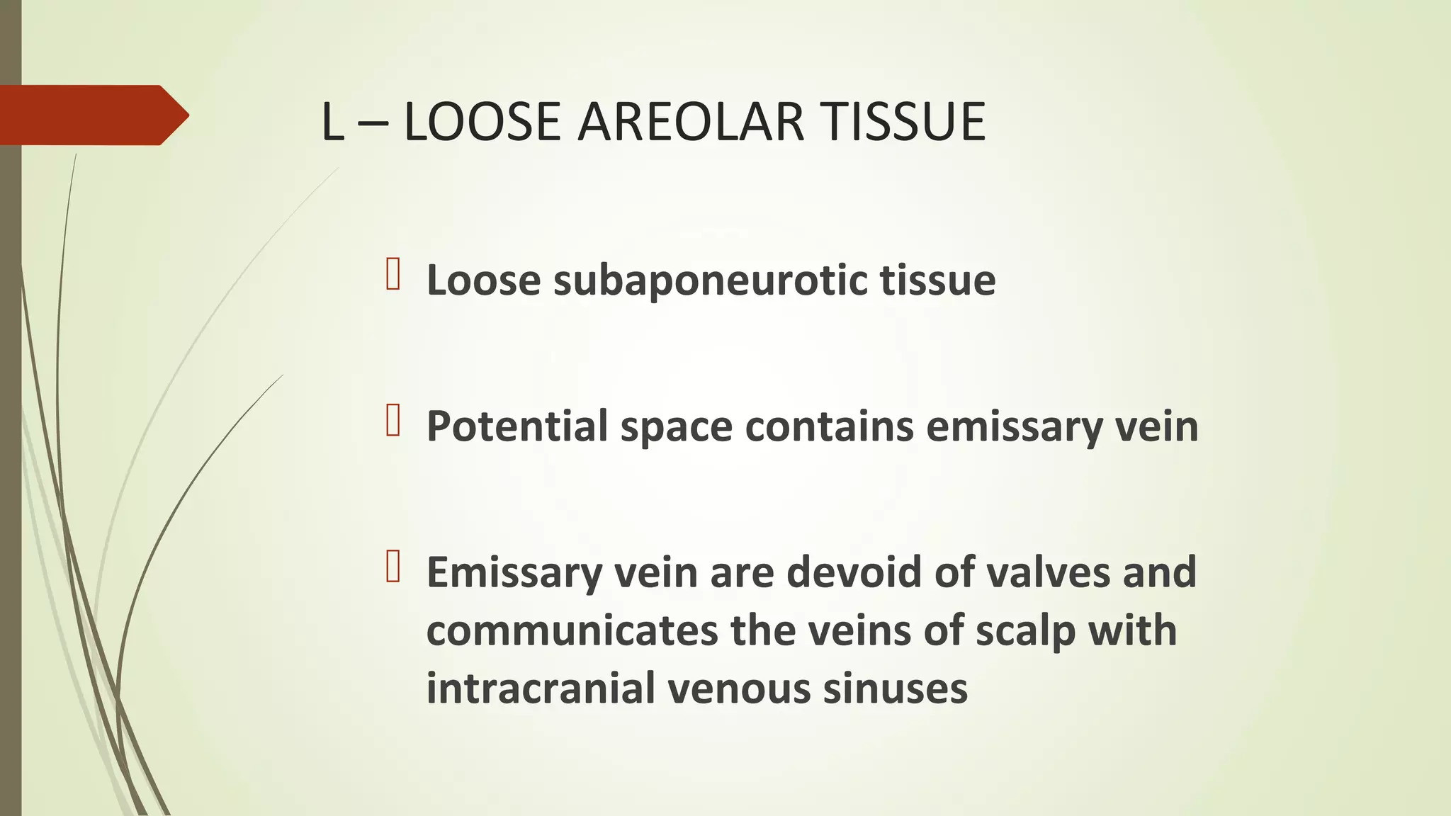 Scalp Anatomy by Dr Zobayer Mahmud Khan | PPT