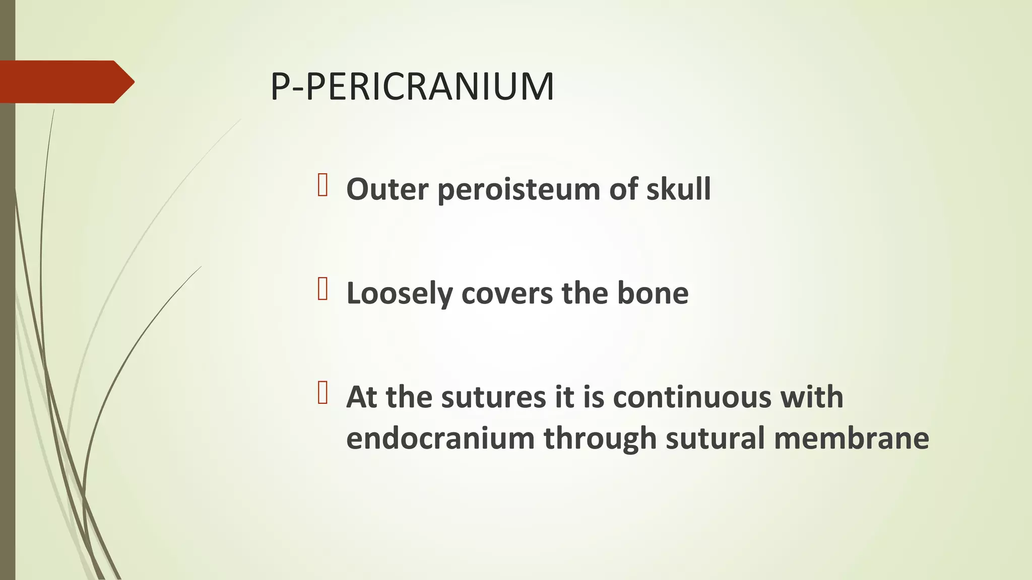 Scalp Anatomy by Dr Zobayer Mahmud Khan | PPT