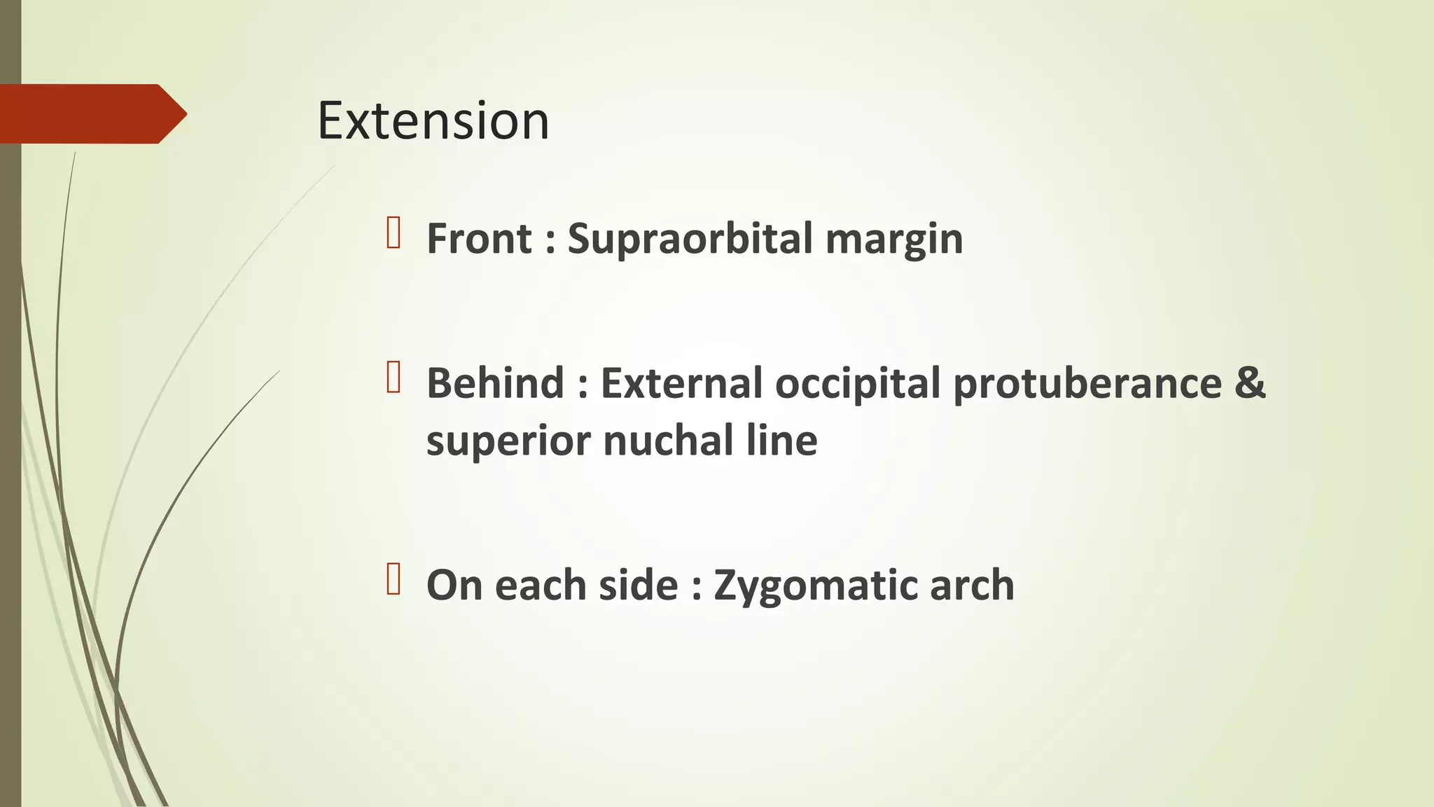 Scalp Anatomy by Dr Zobayer Mahmud Khan | PPT
