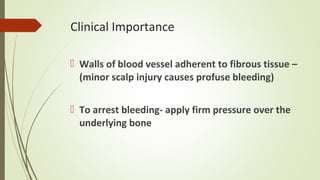 Scalp Anatomy by Dr Zobayer Mahmud Khan | PPT