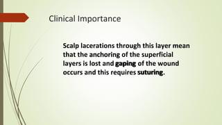Scalp Anatomy by Dr Zobayer Mahmud Khan | PPT
