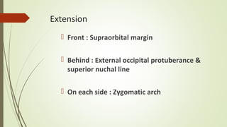 Scalp Anatomy by Dr Zobayer Mahmud Khan | PPT