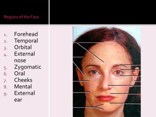 Scalp and face | PPTX