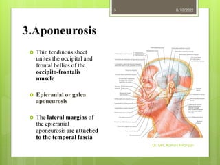 Scalp and face.pdf