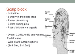 Scalp block and New GCS (GCS-P) | PPTX