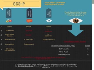 Scalp block and New GCS (GCS-P) | PPTX