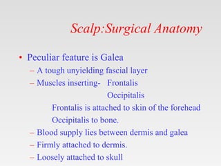 Scalp [Compatibility Mode ].pptx