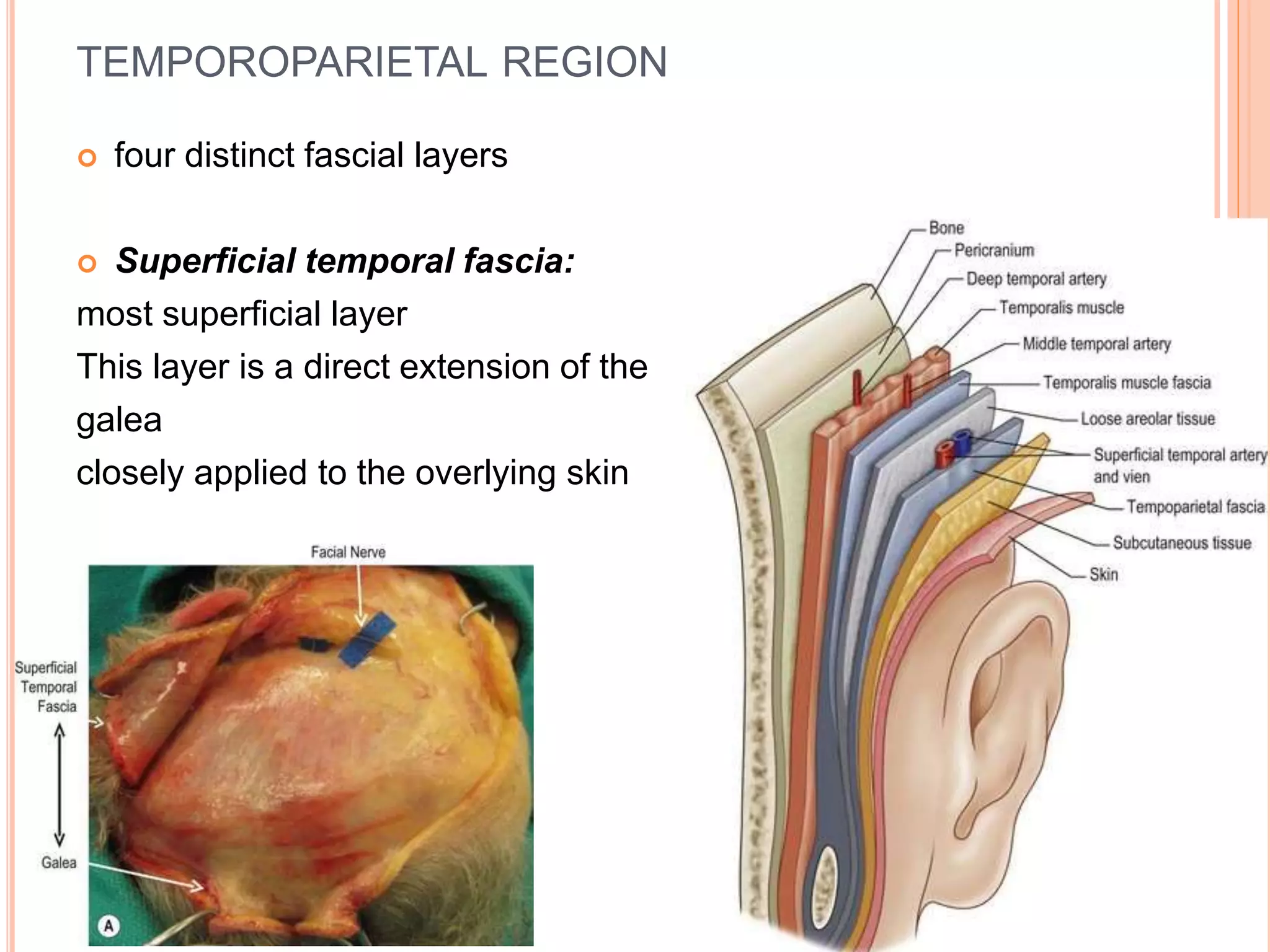 Scalp defects | PPTX