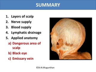 Layers Of Scalp Anatomy