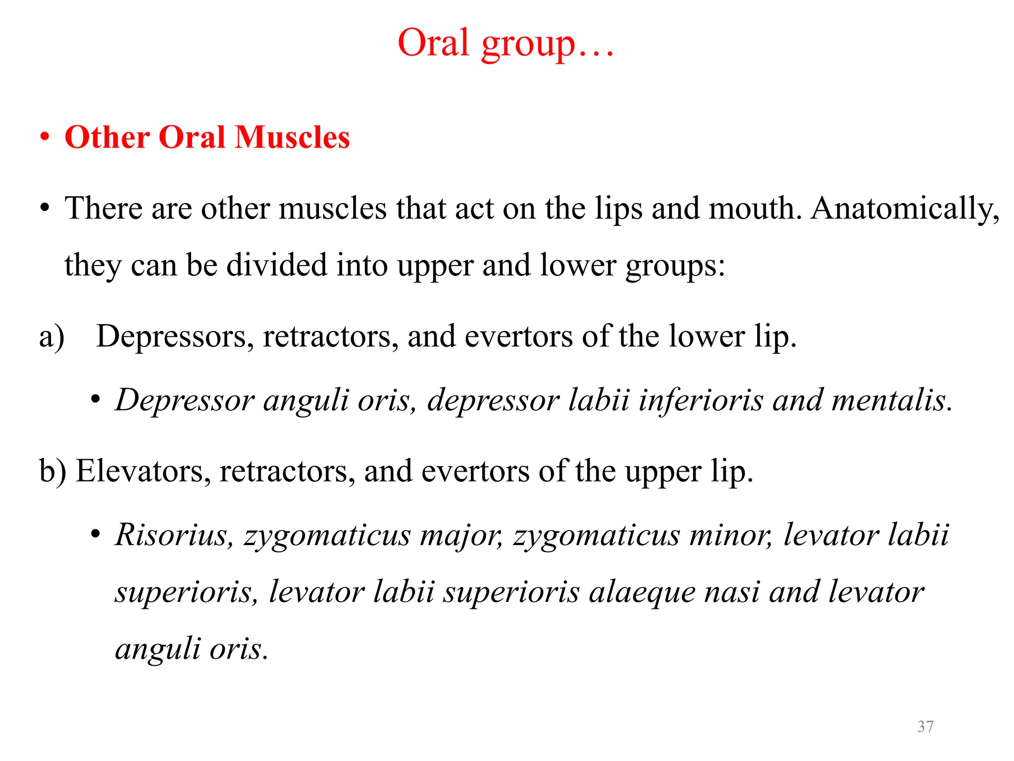 Scalp, Face, and Facial Regions by Solomon.pptx | Death, Injury, or Military Conflict ...