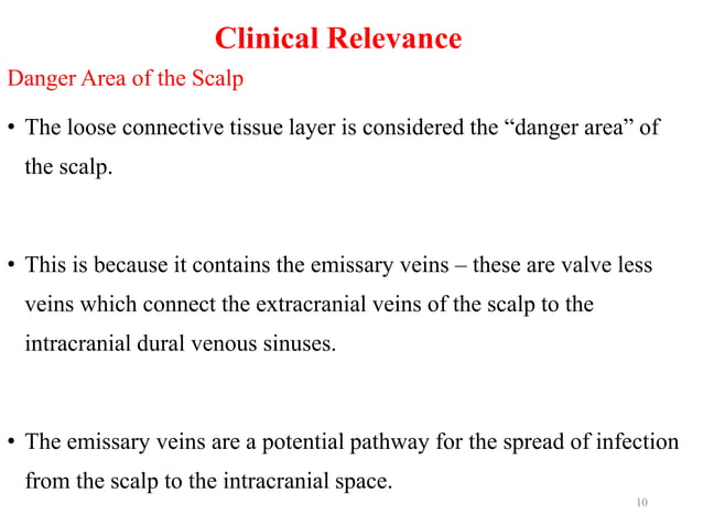 Scalp, Face, and Facial Regions by Solomon.pptx | Death, Injury, or ...