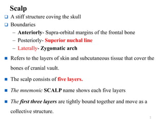 Scalp, Face, and Facial Regions by Solomon.pptx