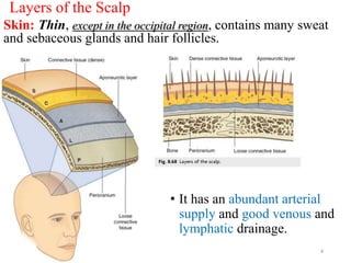 Scalp, Face, and Facial Regions by Solomon.pptx