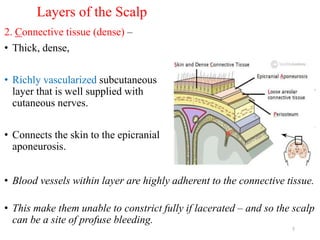 Scalp, Face, and Facial Regions by Solomon.pptx