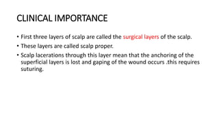 Scalp forensic antomy | PPTX