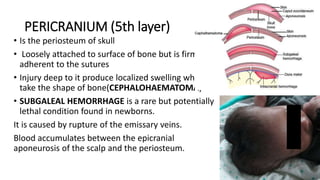 Scalp forensic antomy | PPTX